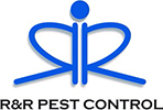 Your Local Pest Control Experts | R&R Pest Gauteng